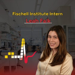 Fischell Institute Summer Research Internship Program | Fischell Institute for Biomedical Devices